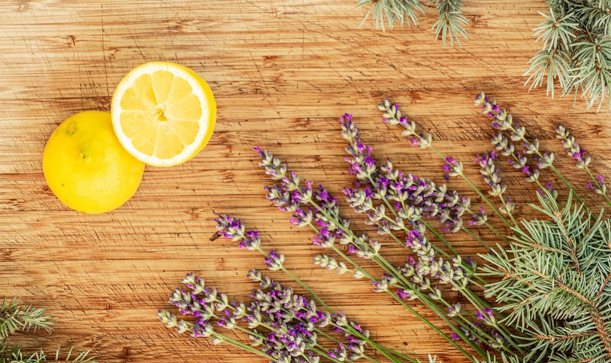 All About Terpenes: A Complete Guide - CBDfx.com