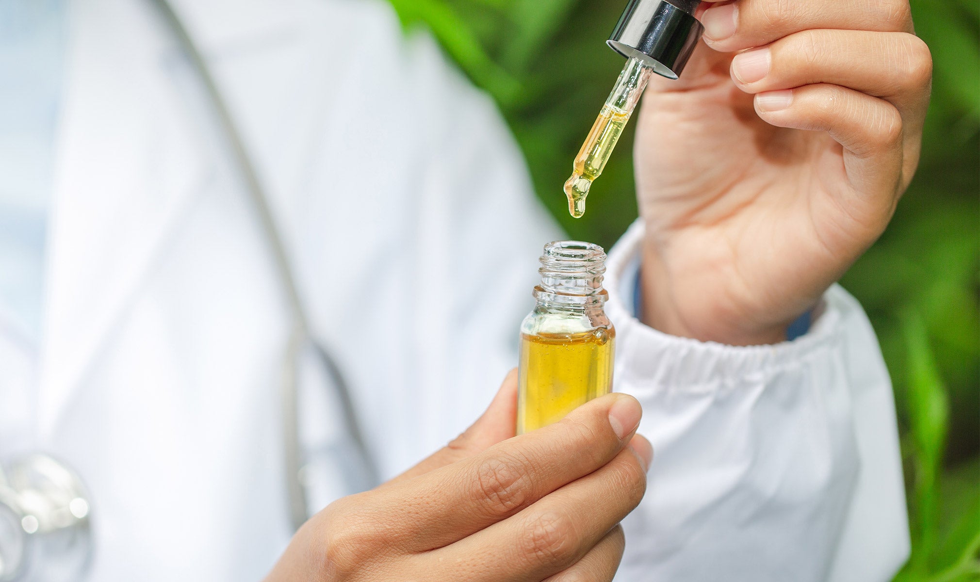 The Entourage Effect and CBD