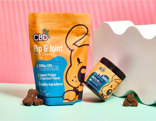 5 Tips to Help Your Dog's Joints - CBDfx.com