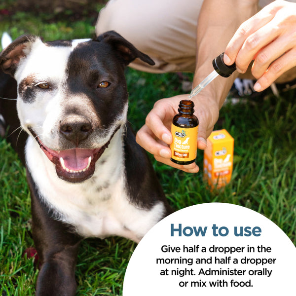 CBD Oil For Dogs - Chicken Flavored - 250 to 2000mg - CBDfx.com