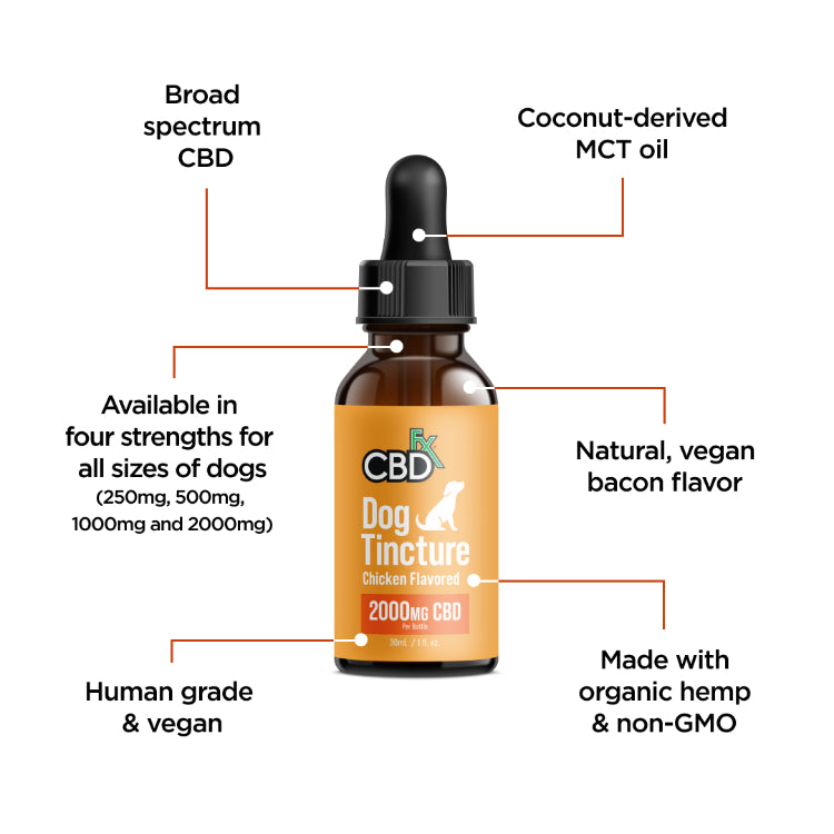CBD for Dogs | Pets and Cats | Safe, Pure, and Effective | CBDfx