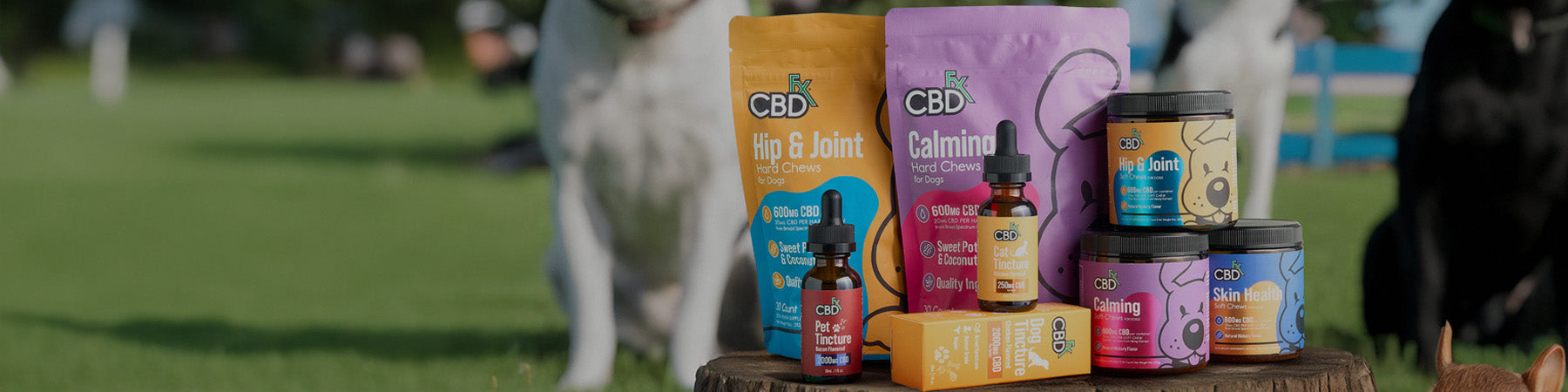 CBD for Dogs | Pets and Cats | Safe, Pure, and Effective | CBDfx