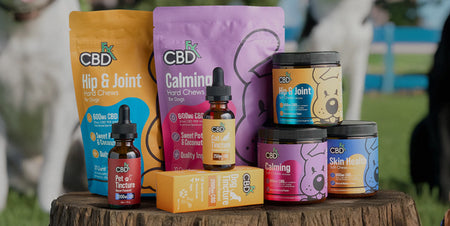 CBD for Dogs | Pets and Cats | Safe, Pure, and Effective | CBDfx